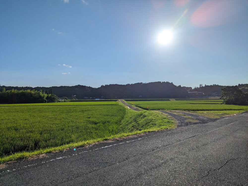 捨てるでもなく、諦めるでもなく、選ばなかっただけ。 | 房総いすみでローカルに暮らし働く。